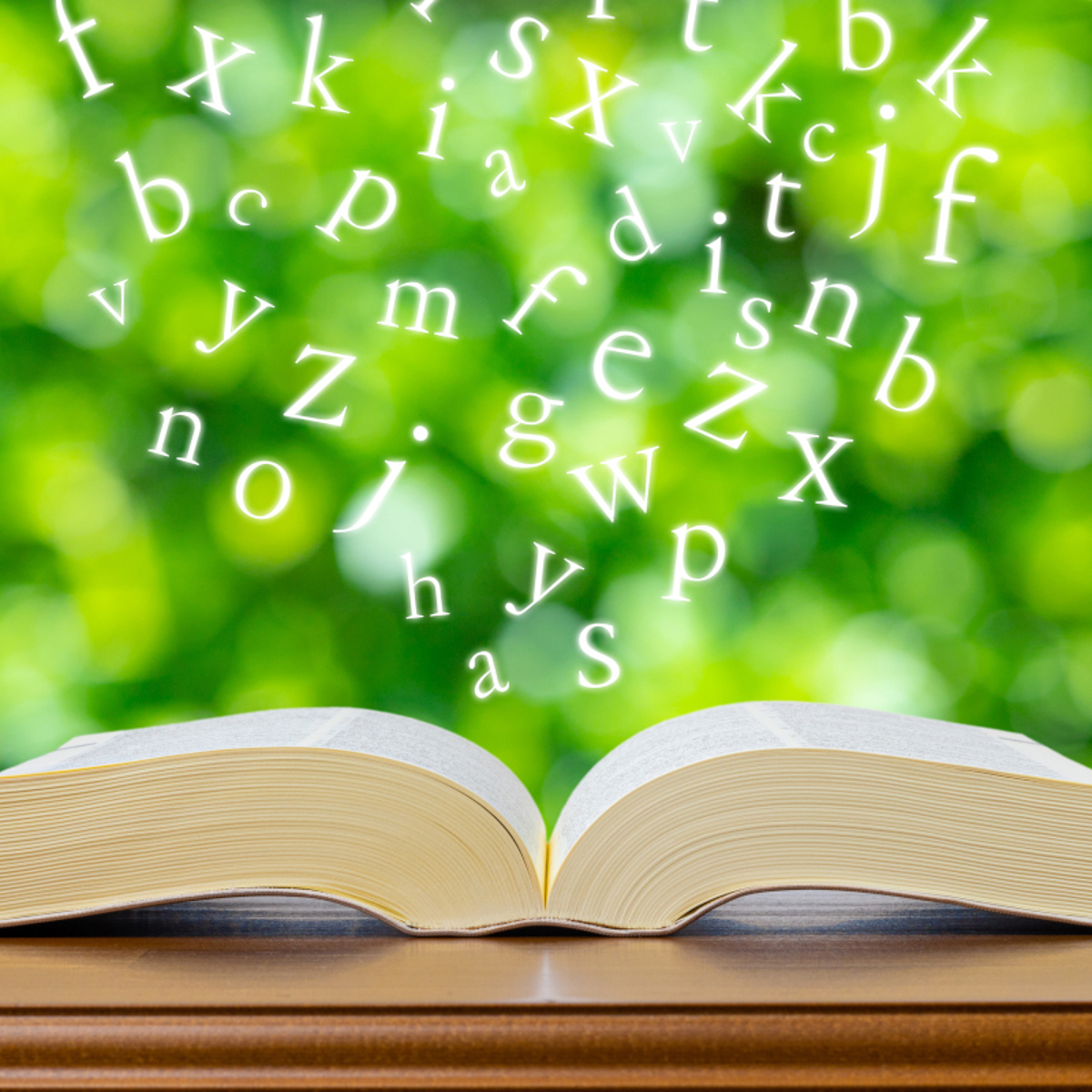 Lexique juridique (domaines de droit)